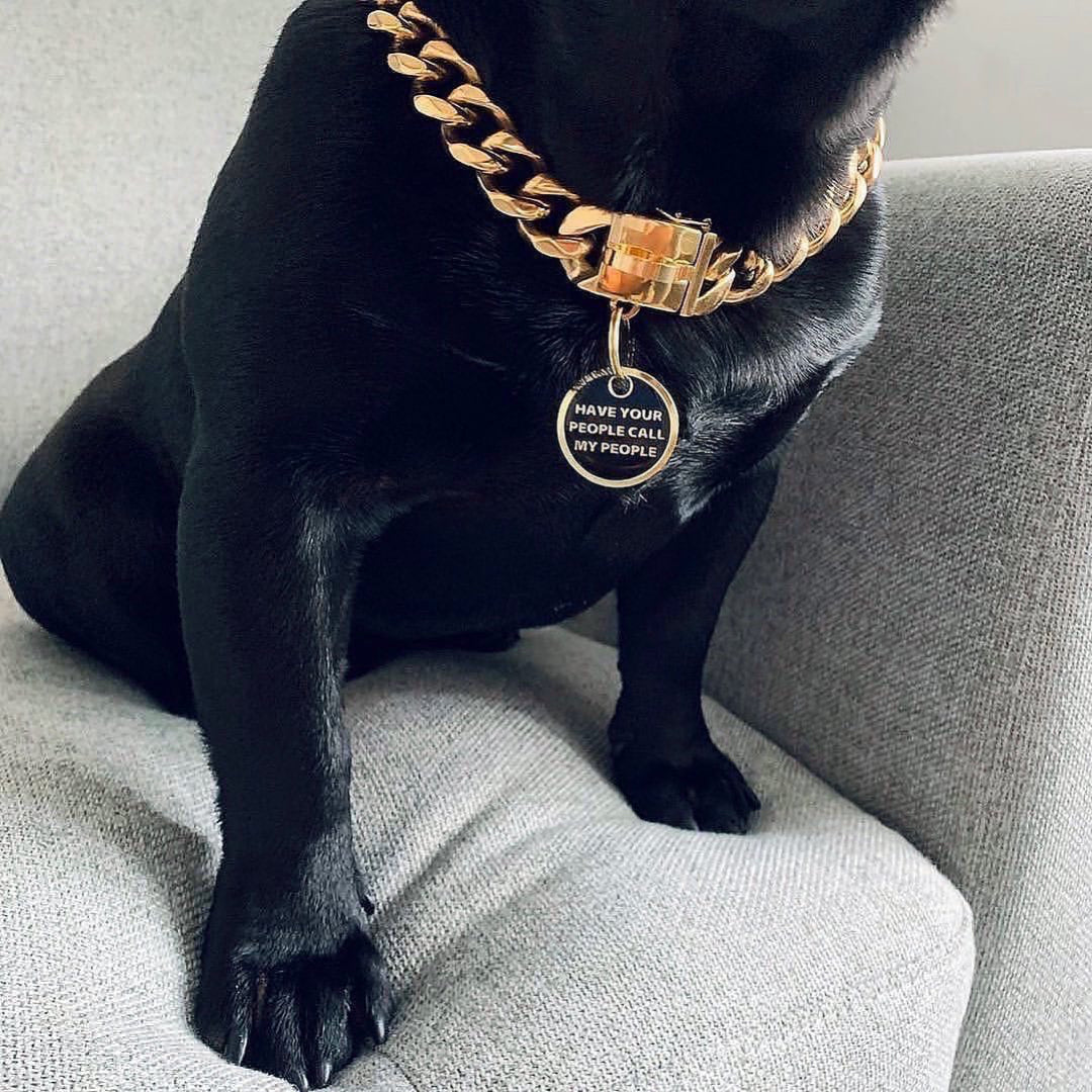 Cuban Link Gold Chain Collar – TRILL PAWS