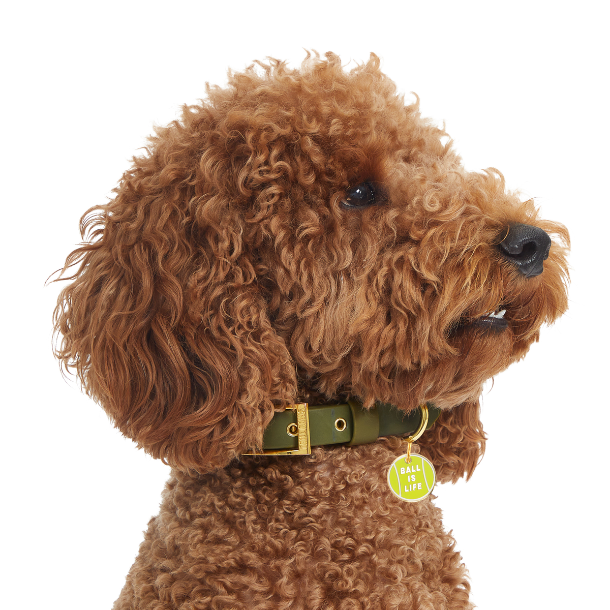 Ball is Life | TRILL PAWS - Pet tag