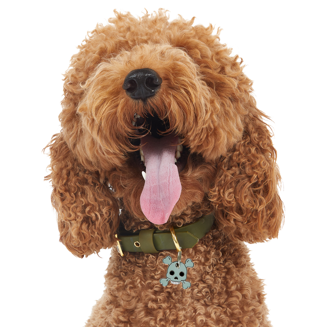 Skull & Bones Tag | TRILL PAWS - Pet tag